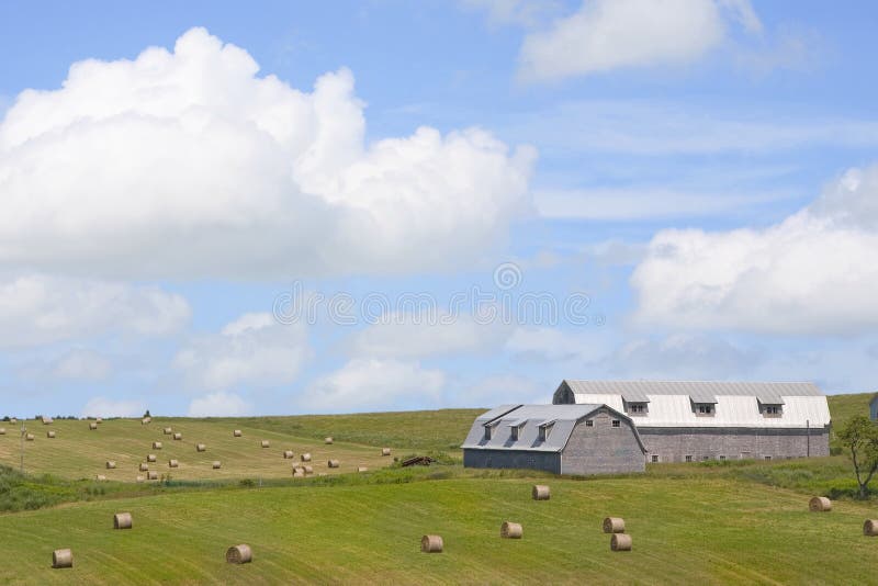 Island Farm stock image. Image of barn, summer, fencing - 13327655