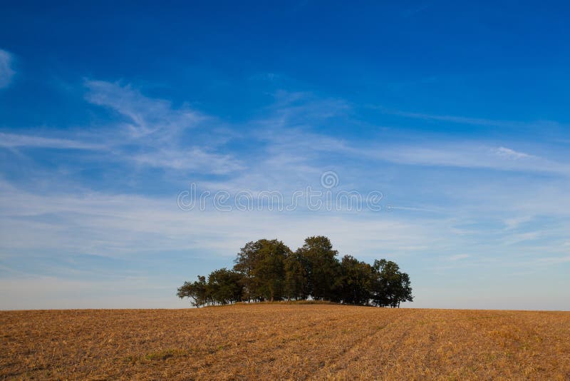 Island Full of Trees in the Middle Field Stock Image - Image of ...