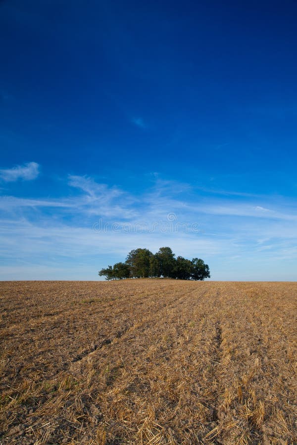 Island Full of Trees in the Middle Field Stock Photo - Image of travel ...