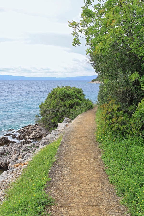 Island Hiking Trail stock photo. Image of croatia, cres - 61129100