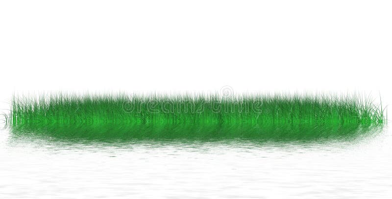 Grass on the field stock image. Image of land, agriculture - 10679629