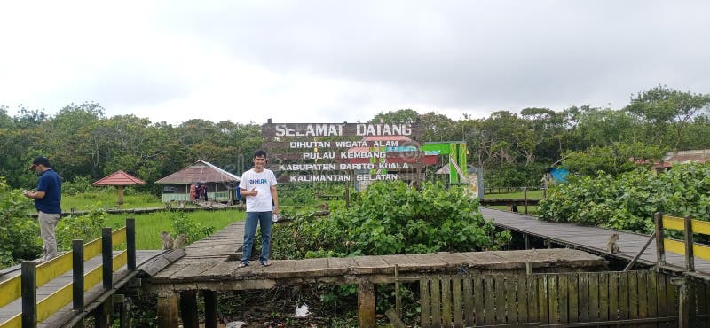 Island Kembang at West Borneo Editorial Photography - Image of tree ...