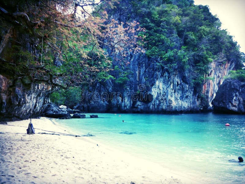 The island stock photo. Image of phiphi, cave, mangrove - 59675048