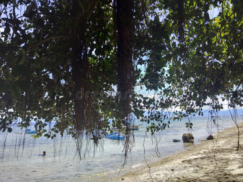 Island life editorial photo. Image of never, island - 118005846