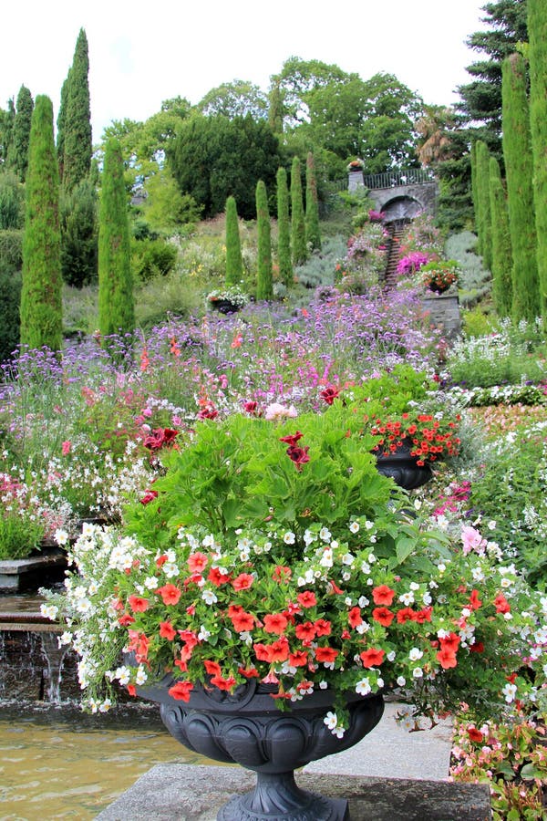 Island of Mainau stock photo. Image of badewurtemberg - 31499882