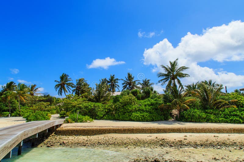 Island stock image. Image of blue, composition, maldives - 56056553