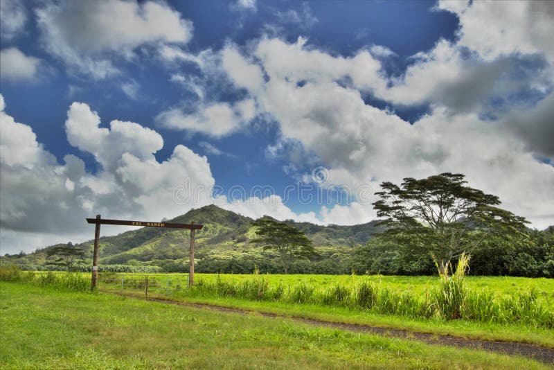 Island ranch stock photo. Image of meadow, koloa, hills - 43807978