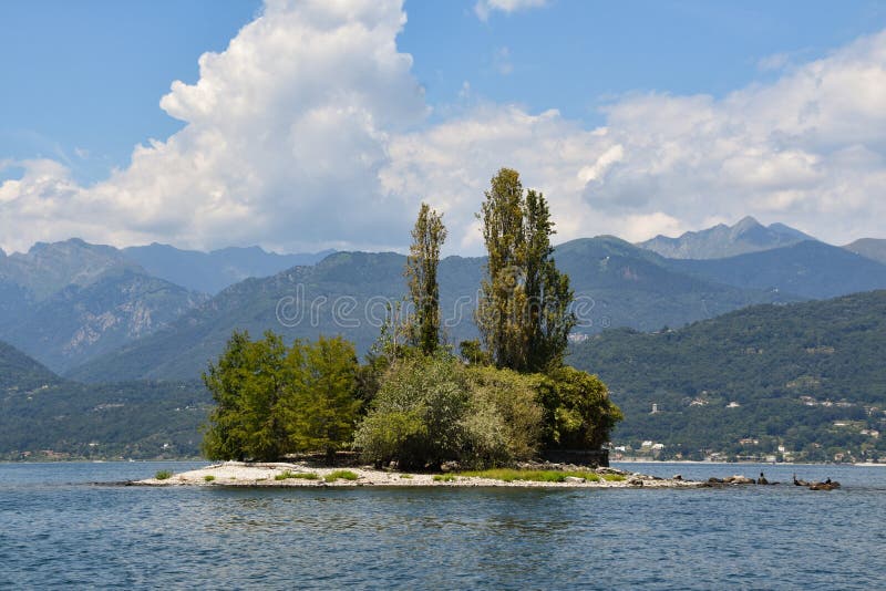 An Island with Rees on Lake Maggiore, Italy Stock Photo - Image of town ...