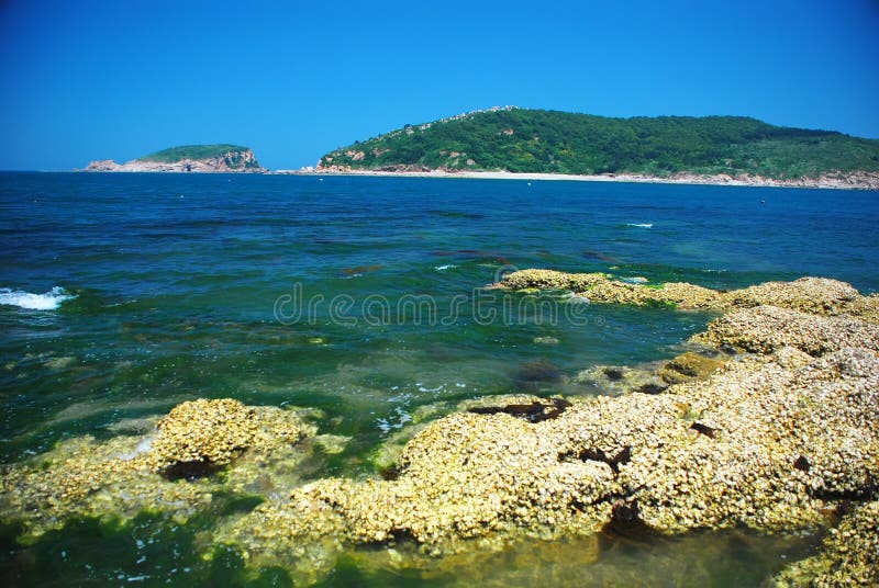 Island and sea coral rock stock image. Image of hill - 10631401