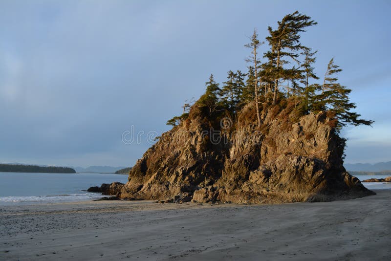 Island by the Side of the Sea Stock Photo - Image of geology, trees ...