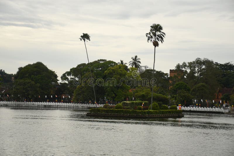 Island with Trees in a Lake in Kandy Stock Image - Image of view ...