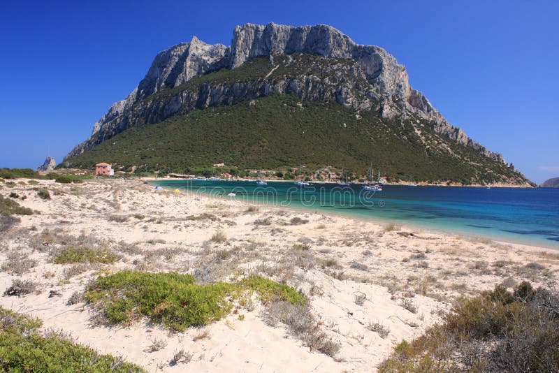 Island of Tavolara stock image. Image of seacost, place - 11690671
