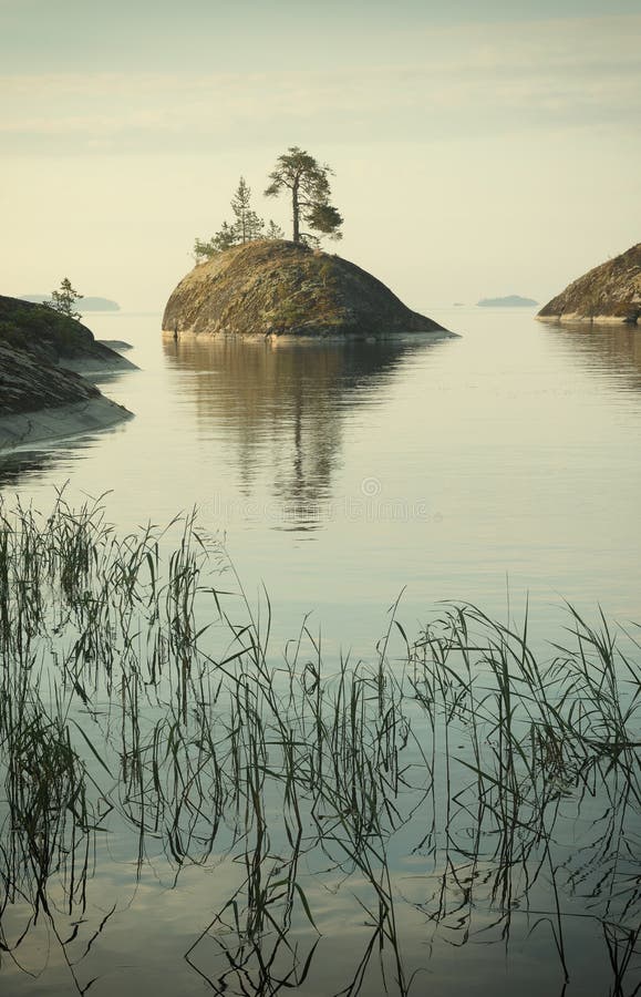 The Island with a Tree and a Reflection and Grass in the Foreground on ...