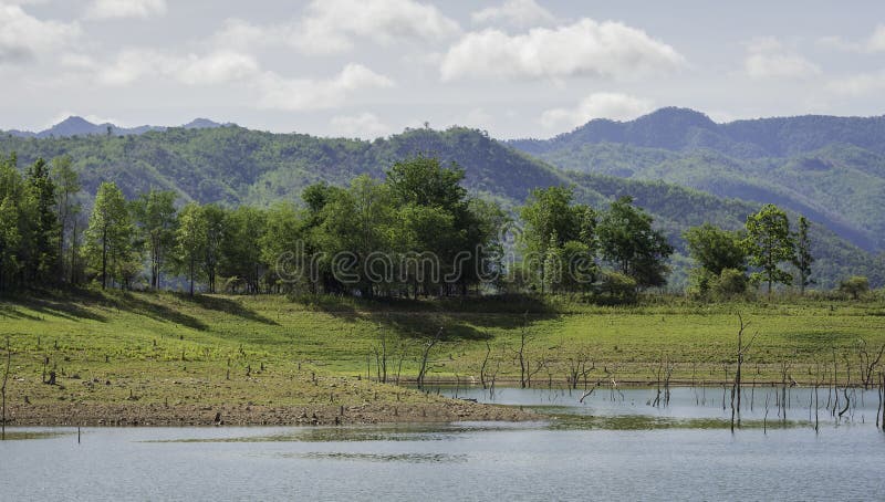 Island with Tree and Tree Stump Stock Image - Image of water, wildlife ...