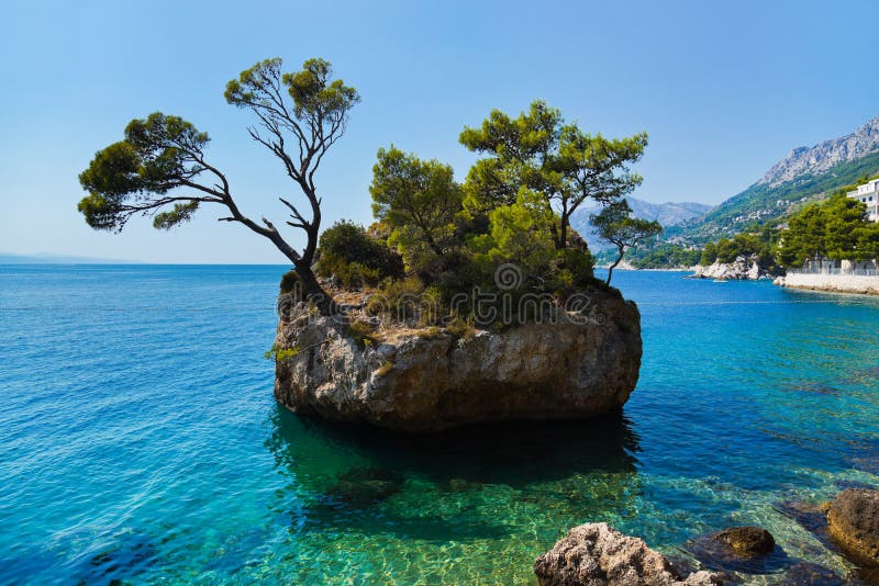 Island and trees stock image. Image of design, plant - 10756435