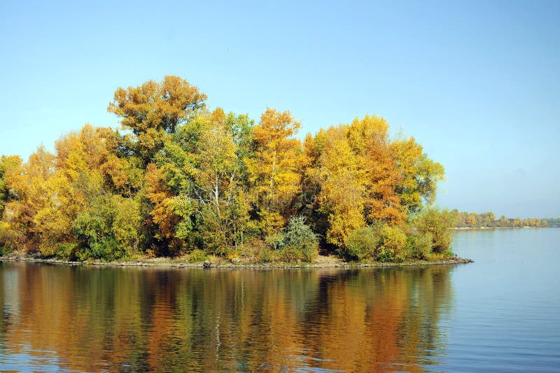 Island with trees stock photo. Image of beach, island - 11491650