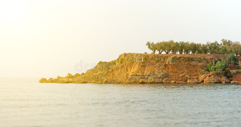 Island with trees. stock photo. Image of cliff, landscape - 60756218