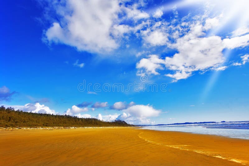 Huge Sandy Beach Midday Stock Photos - Free & Royalty-Free Stock Photos ...