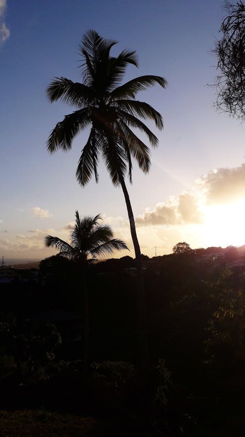 Island Vibes on the Beach in Thailand Stock Image - Image of background ...