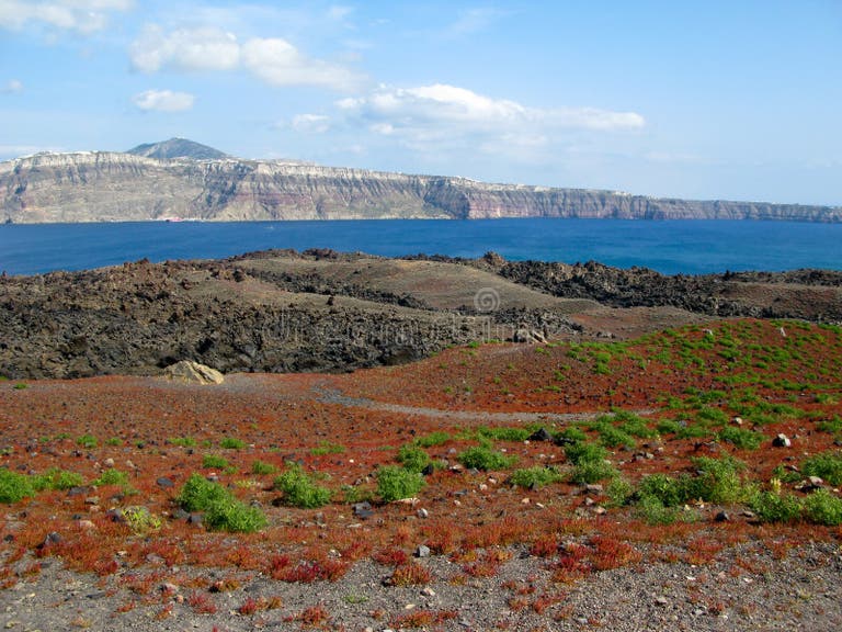 Sea Island Red Peas Stock Photos - Free & Royalty-Free Stock Photos ...