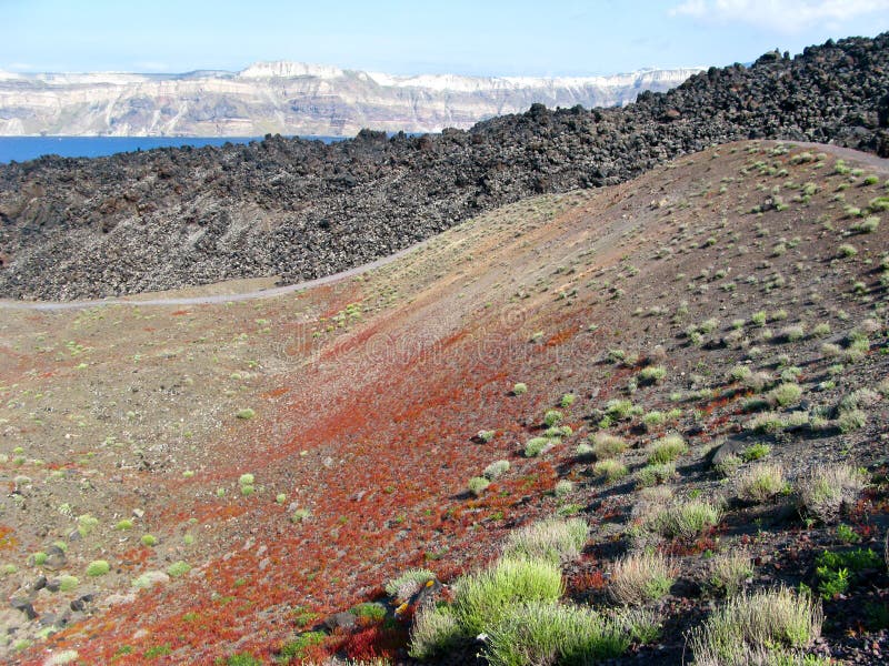 Sea Island Red Peas Stock Photos - Free & Royalty-Free Stock Photos ...