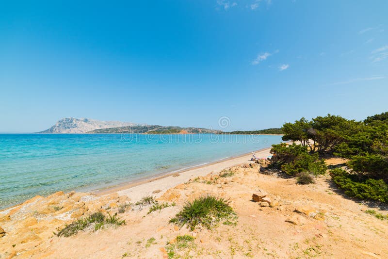 Islas De Tavolara, De Molara Y De Molarotto Imagen de archivo - Imagen ...