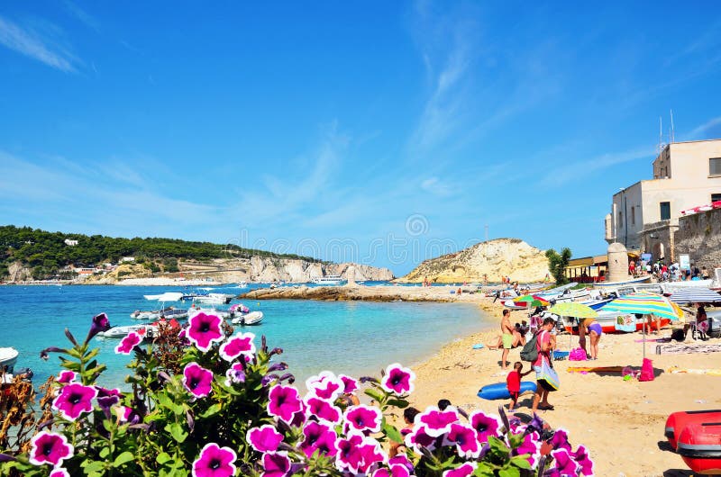 Islas de Tremiti, Italia imagen editorial. Imagen de vacaciones - 103703565