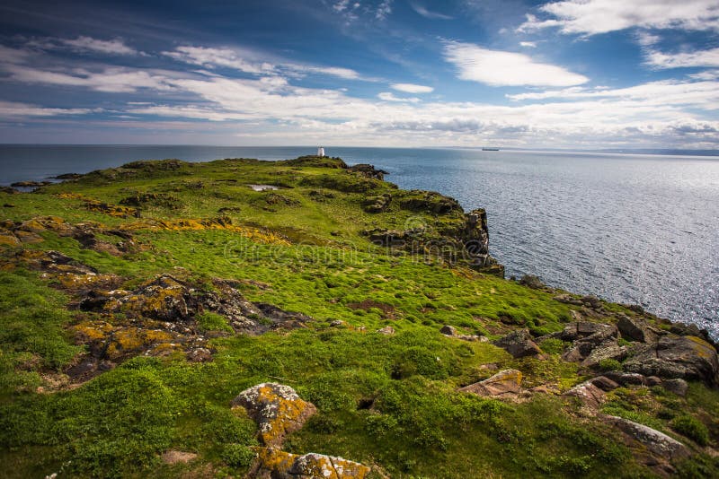 Isle of May, Scotland stock image. Image of nature, fife - 69727823