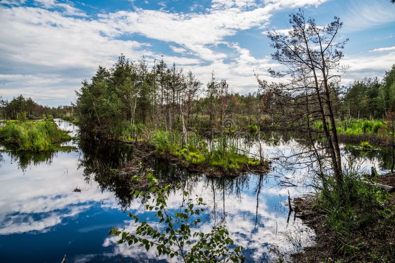 Isle stock image. Image of small, area, isle, long, forest - 59961797