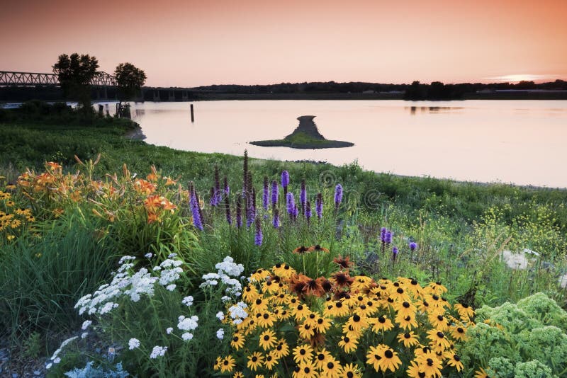 Isola Della Freccia Sul Mississippi Immagine Stock - Immagine di corsa ...