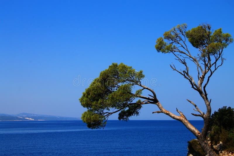 Isola Della Roccia in Brela, Croazia Fotografia Stock - Immagine di ...