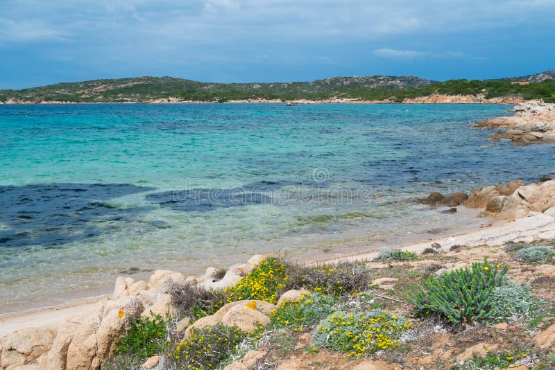 Isola Di Caprera, Sardegna, Italia Fotografia Stock - Immagine di ...