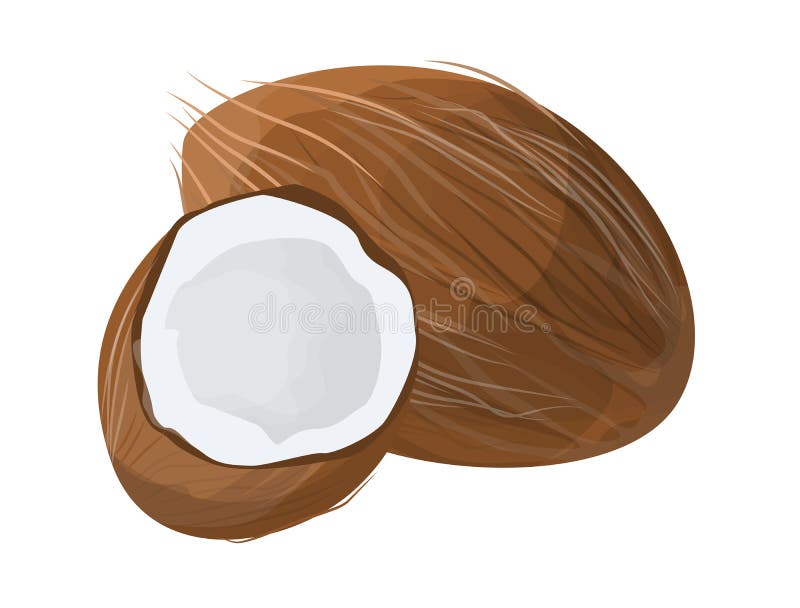 Shell Coco Stock Illustrations – 4,714 Shell Coco Stock Illustrations ...