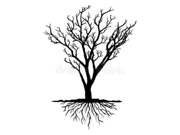 Isolate Black Branch Trees with Root Look Beautiful and Refreshing ...
