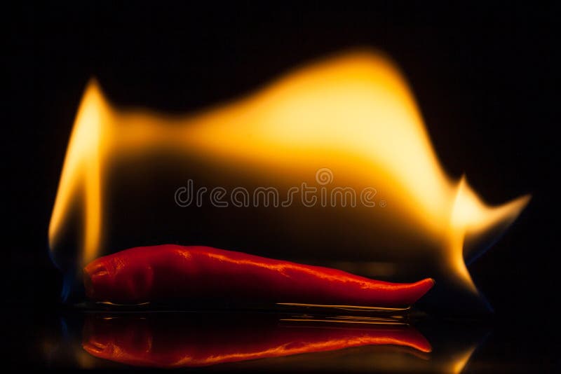 Isolate Fire on Red Chilli on Black Ground Stock Photo - Image of blaze ...