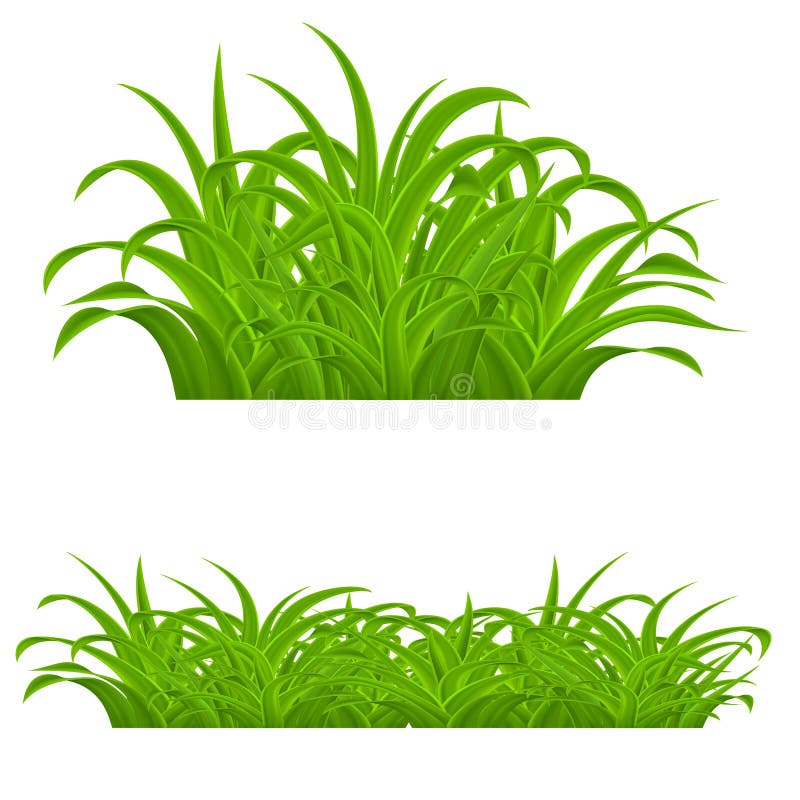 Fresh Grass Seamless Stock Vector Illustration Of Field 84209365