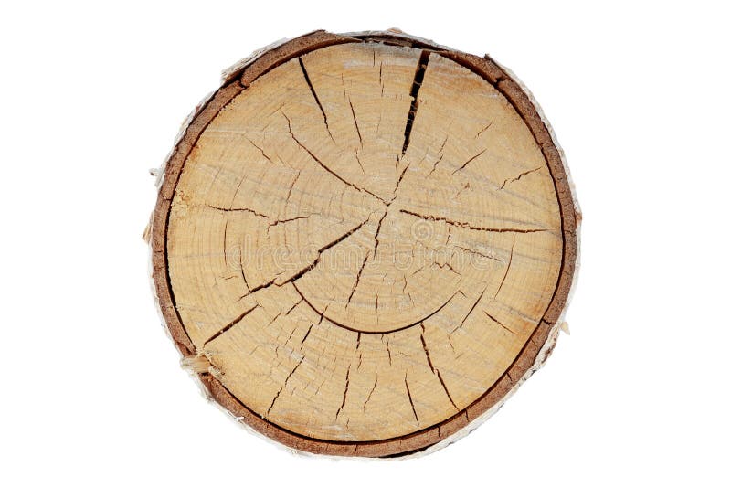 Realistic Log Texture Top View Stock Photos - Free & Royalty-Free Stock ...