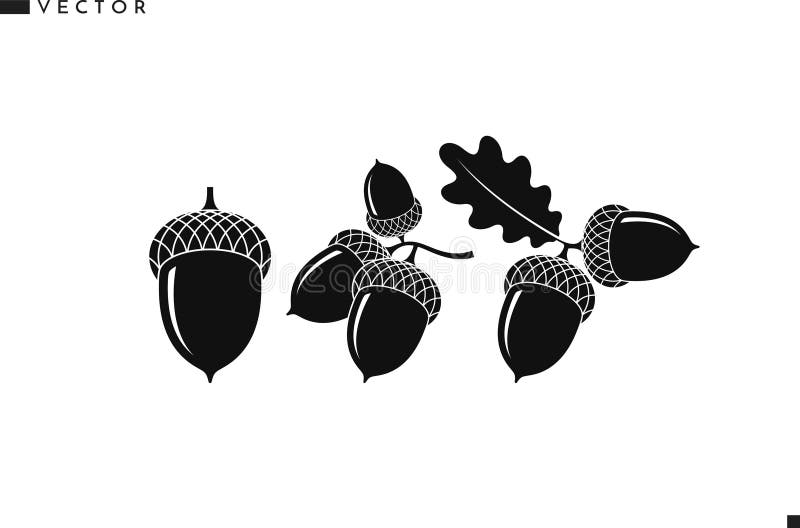 Oak branch with acorns stock vector. Illustration of natural - 327219040 Oak branch with acorns stock vector. Illustration of natural - 327219040