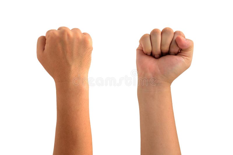 Isolated All Side of Right Man Fist Stock Photo - Image of fist ...