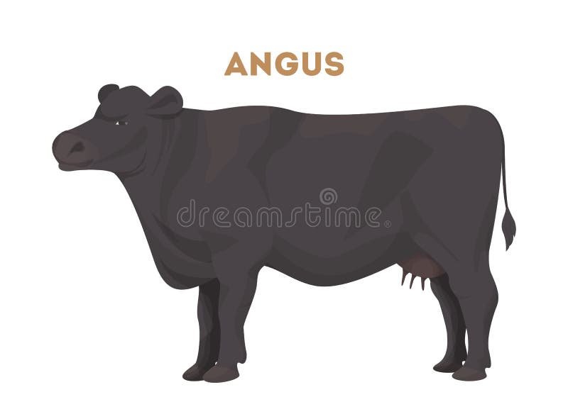 Black Angus Calf Bucking Clipart
