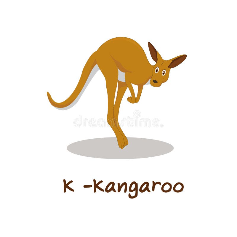 Kangaroo Flashcard Stock Illustrations – 65 Kangaroo Flashcard Stock ...