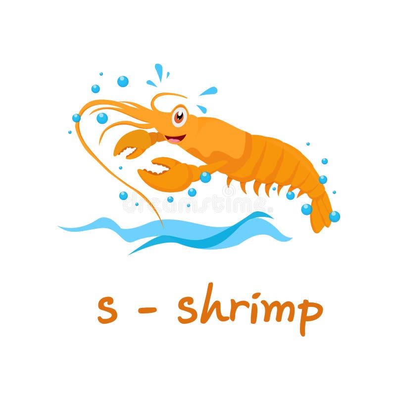 Isolated Animal Alphabet for the Kids,S for Shrimp Stock Vector ...