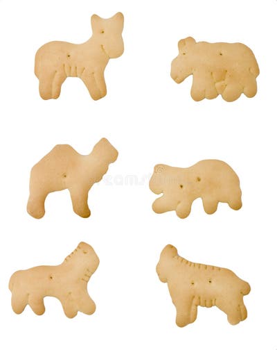 Isolated Animal Cracker stock image. Image of snack, bear - 7890089