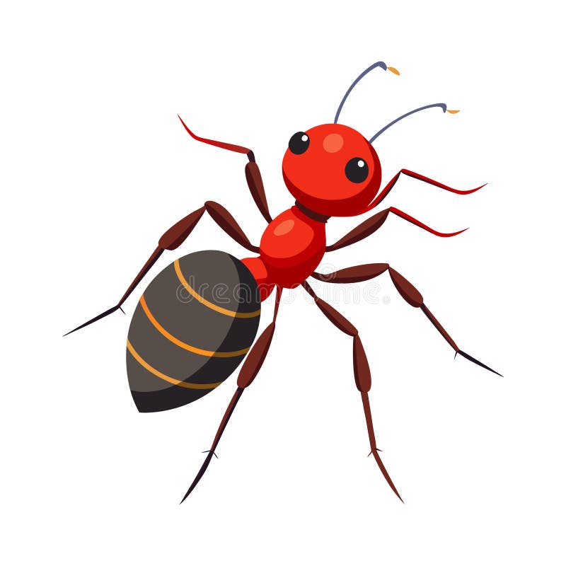 Isolated Ant Vector on White Background. Stock Vector - Illustration of ...