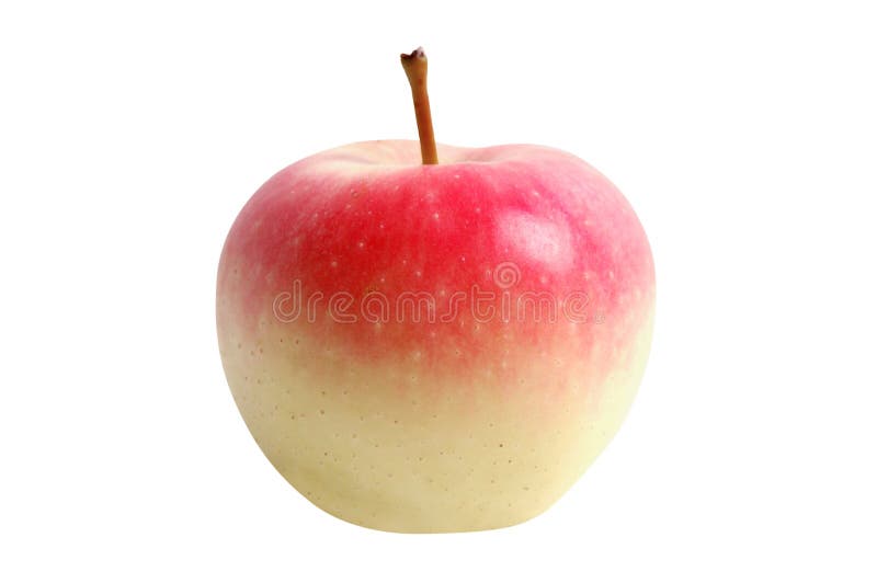 Isolated apple stock image. Image of organic, diet, autumn - 10289145