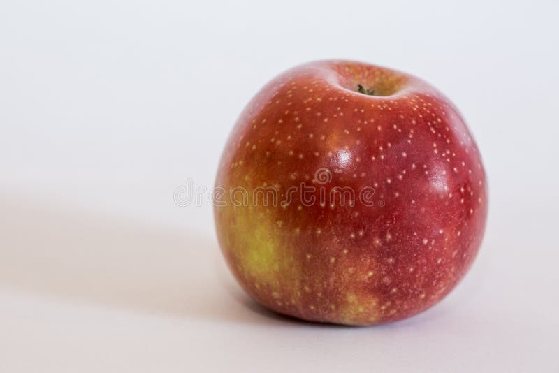 Isolated Apple Fruit on White Background Side View Stock Photo - Image ...