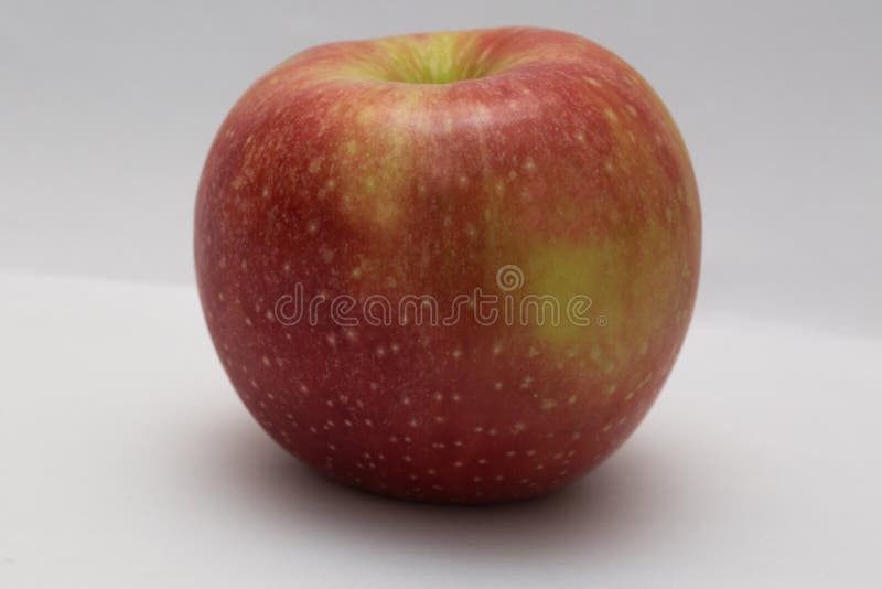 Isolated Apple Fruit on White Background Side View Stock Photo - Image ...