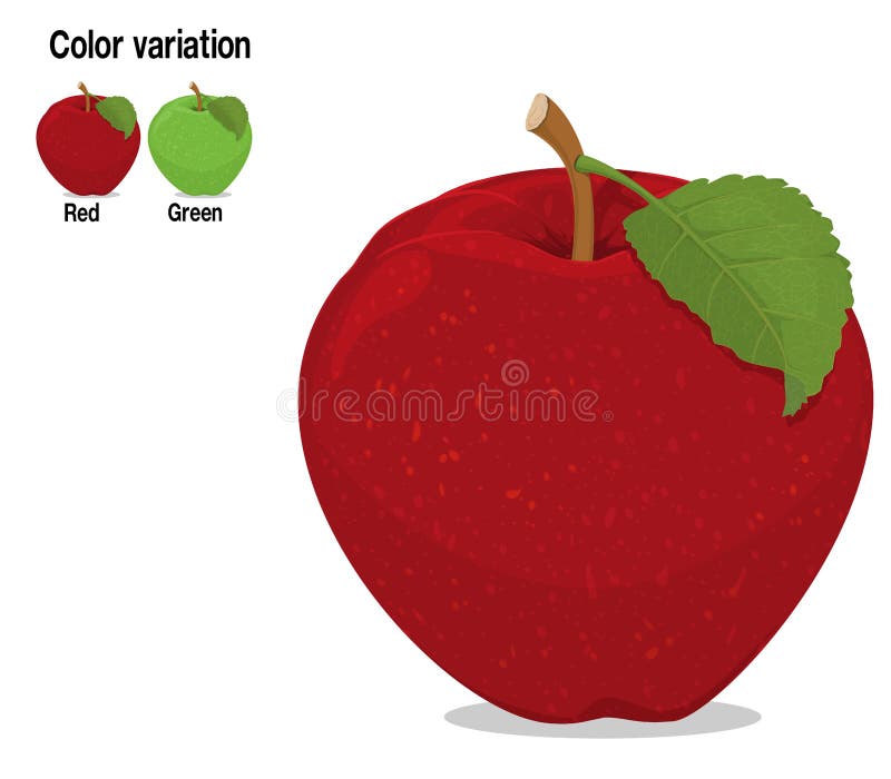 Isolated apple with leaf stock vector. Illustration of fresh - 94992038
