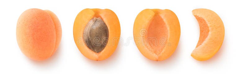 Isolated Apricot Pieces in a Row, Top View Stock Image - Image of ...