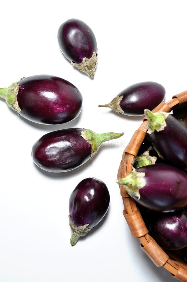 Eggplant purple stock image. Image of green, food, colorful - 16281769